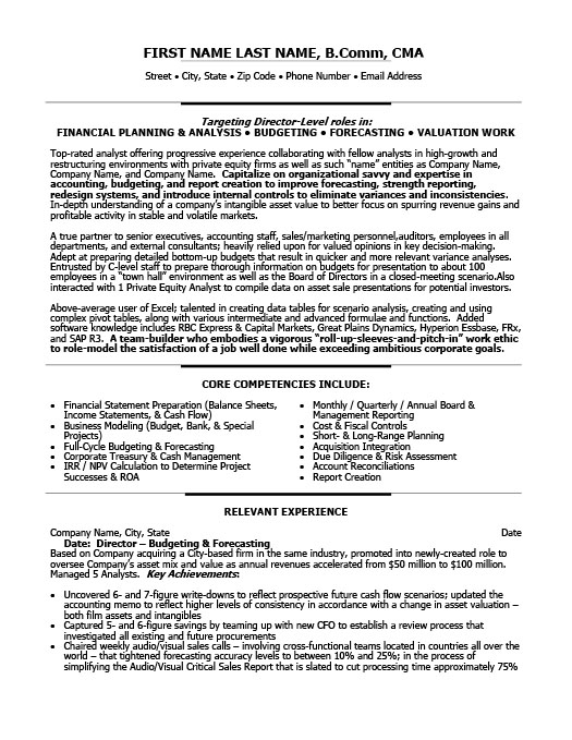 Director Of Finance Resume Template Premium Resume Samples Example